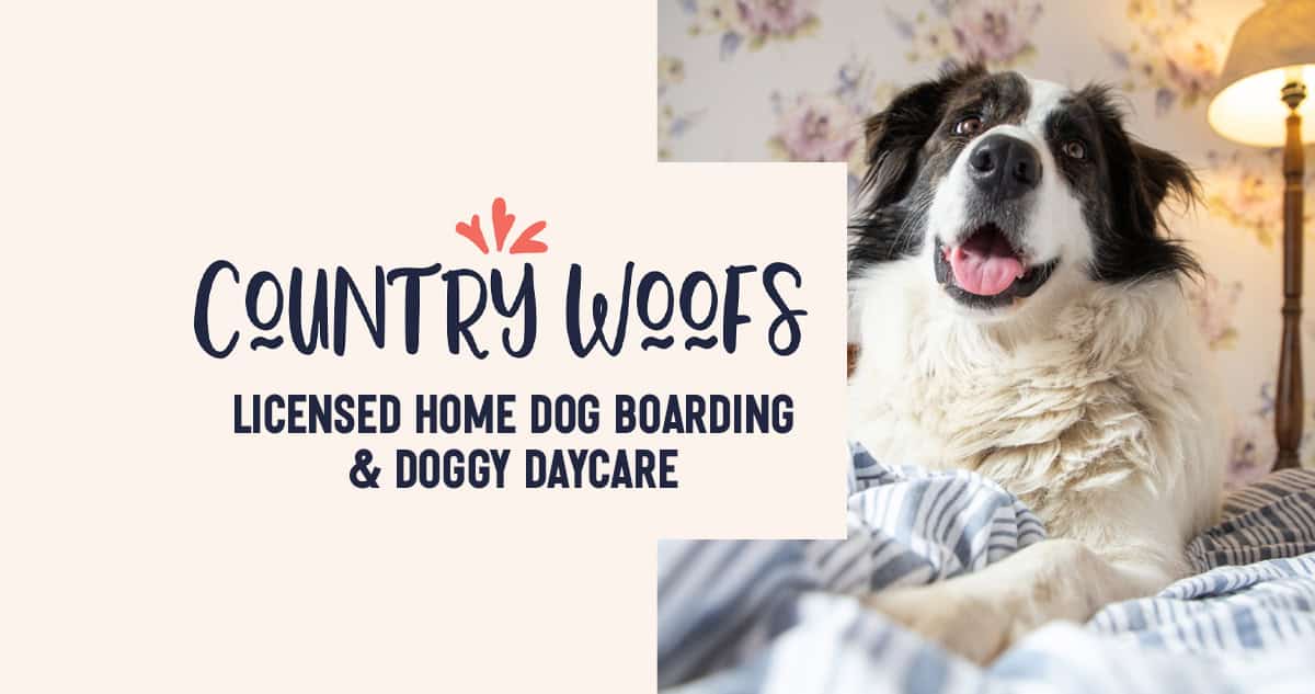 Home Dog Boarding & Doggy Daycare East Markham | Country Woofs